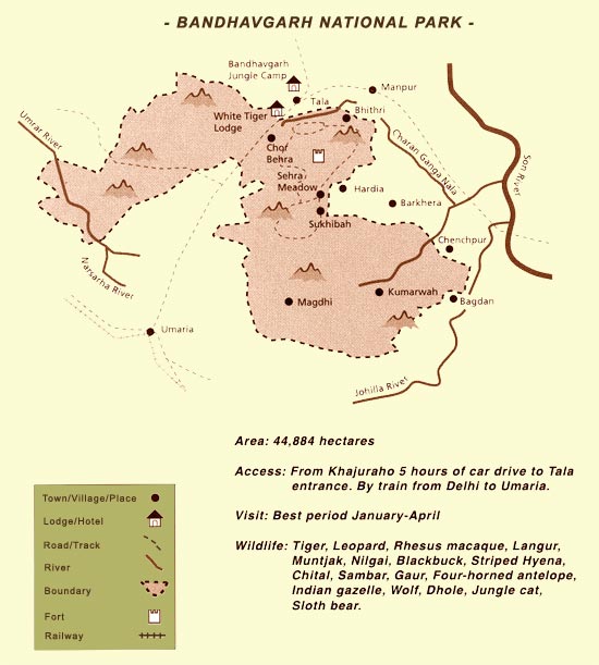 Bandhavgarh National Park – Travel Guide | Indian Holiday UK Blog ...